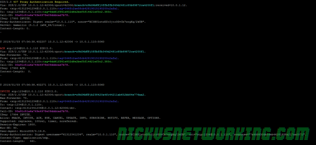 Kamailio 101 – Part 8 – Security in Practice | Nick vs Networking