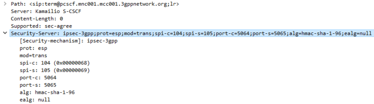 IMS / VoLTE IPsec on the Gm Interface | Nick vs Networking