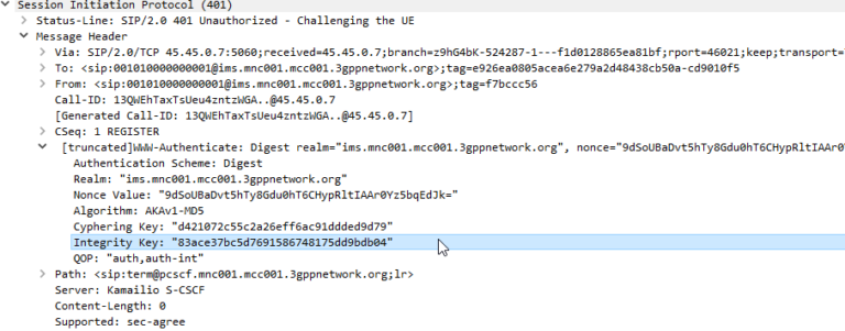 IMS / VoLTE IPsec on the Gm Interface | Nick vs Networking