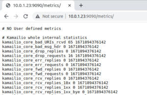 Kamailio | Nick vs Networking