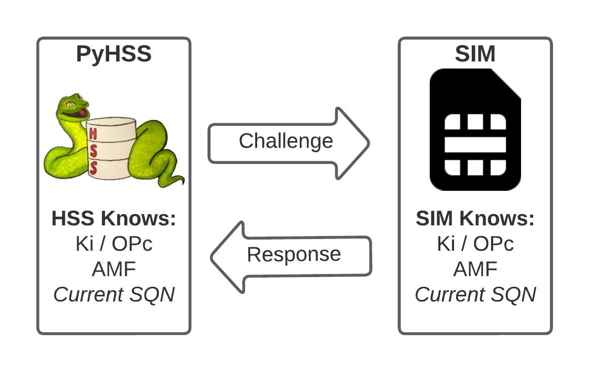 LTE | Nick vs Networking
