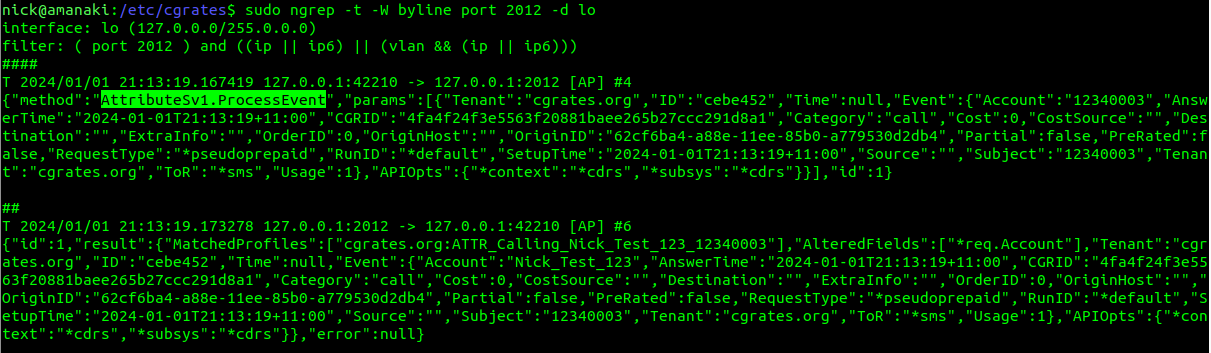 CGrateS – AttributeS | Nick vs Networking